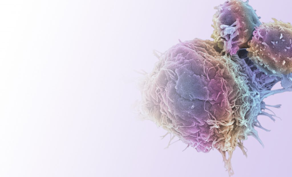 Portfolio - ARCH Venture Partners