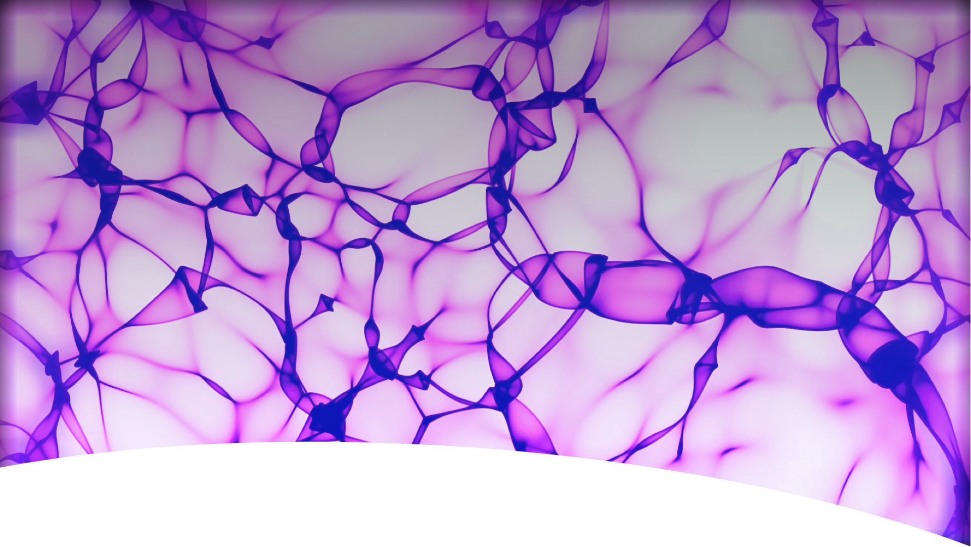 Home - ARCH Venture Partners